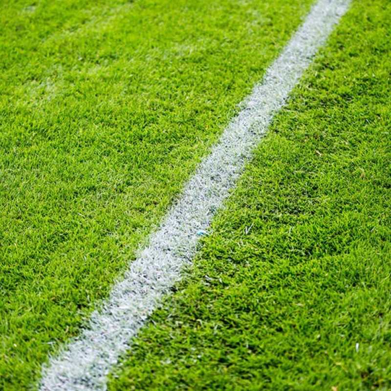 Soccer pitch paint pack - Field 1000