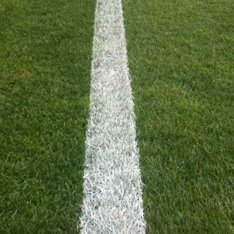 Soccer pitch paint pack - Field 1000